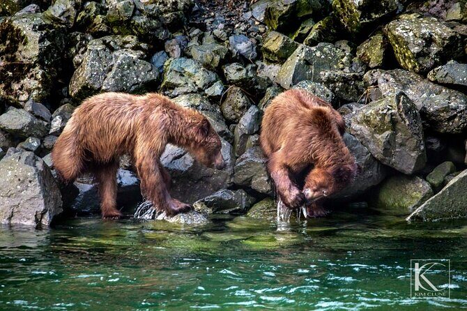 4 hours Haines Chilkoot Wilderness and Wildlife Tour - The Stops in Detail