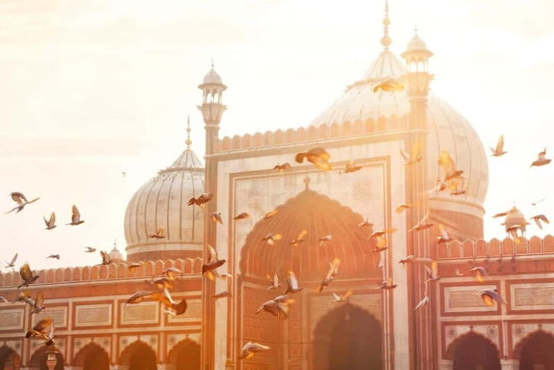 4-hours Half Day Old Delhi Walking Tour and Rickshaw Ride - What Makes This Tour Stand Out?