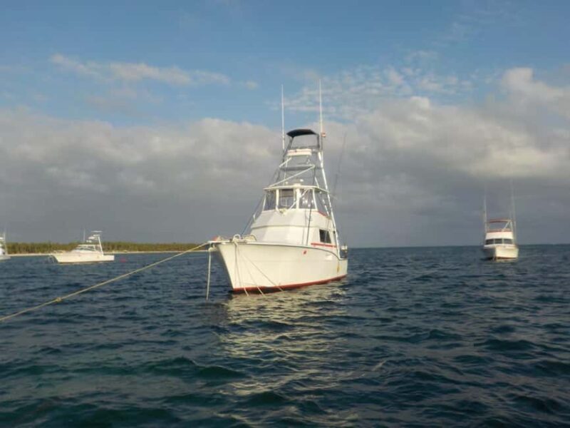 4 hours of deep sea fishing from Bavaro Punta Cana - The Booking and Logistics