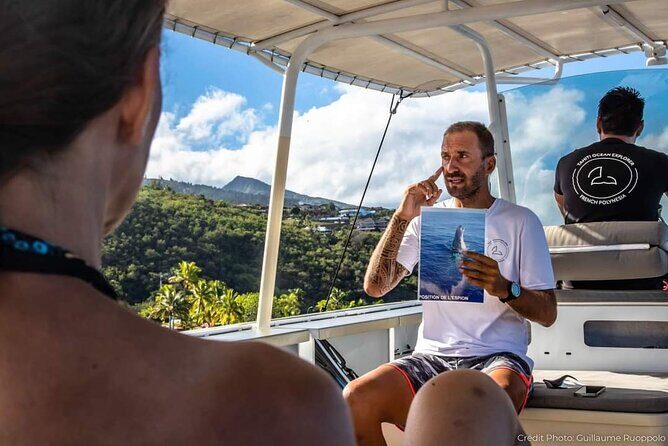 4 Hours of Humpback Whale Watching in Tahiti - What the Reviews Say: Authentic Feedback