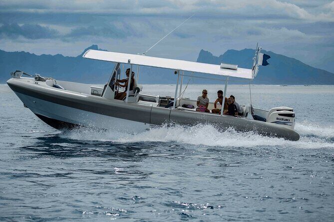 4 Hours of Humpback Whale Watching in Tahiti - Practical Details