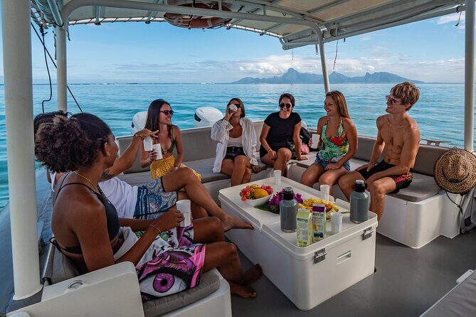 4 Hours of Humpback Whale Watching in Tahiti - The Sum Up: Is It Worth It?
