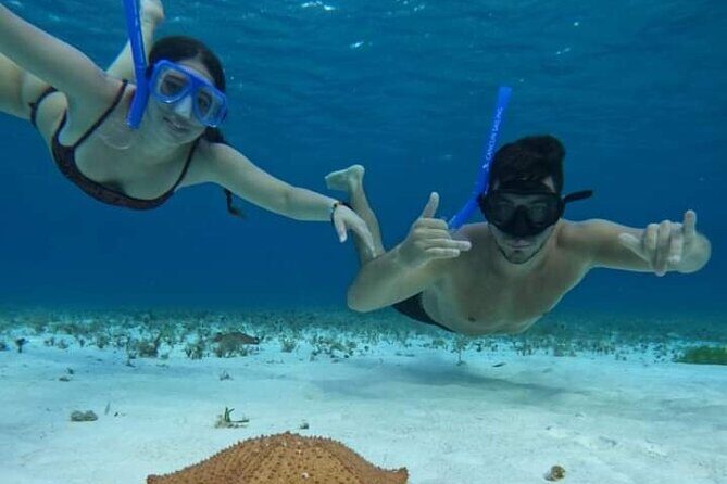 4 hours of shared snorkeling to El Cielo - The Full Experience: What You’ll Actually Do