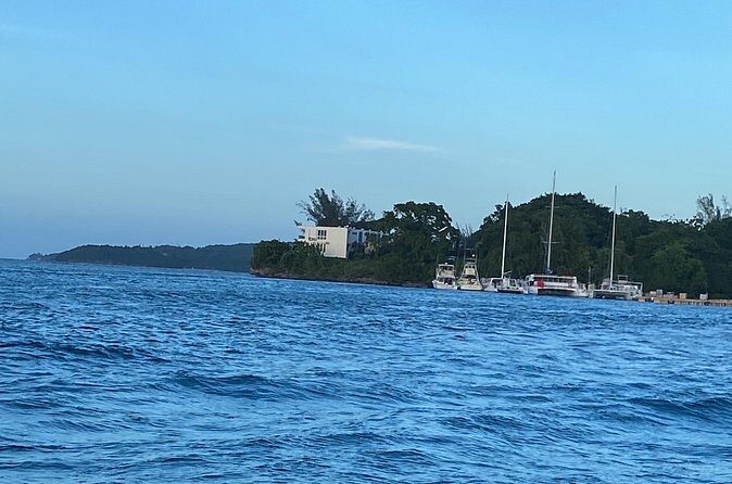 4 Hours Party Boat Catamaran Cruise in Negril - Who Should Consider This Experience?