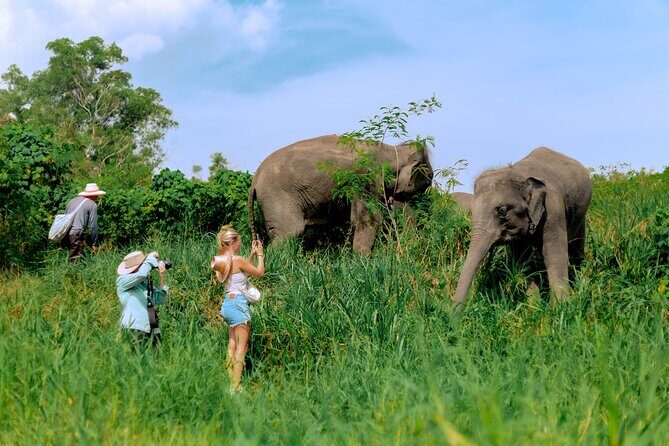 4-Hours Phuket Ethical Elephant Sanctuary Tour with Lunch - What Reviewers Say