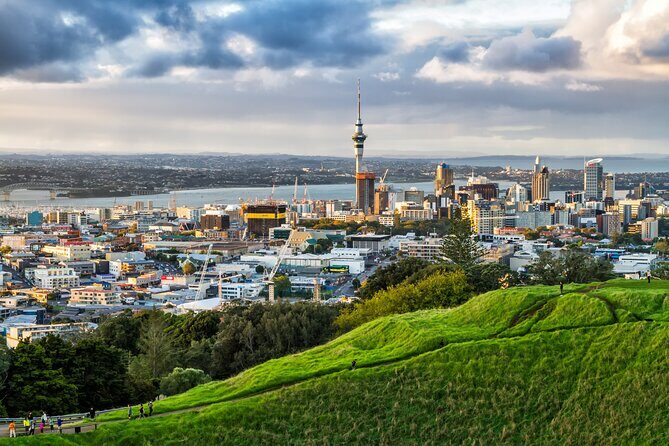 4 Hours Private City Tour in Auckland - A Deep Dive into the Itinerary and What You Can Expect