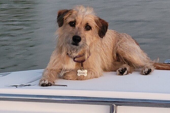 4 hours Private Eco Boat Tour Wildlife and Nature around islands - Key Points