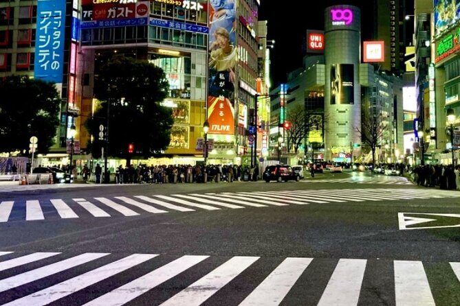 4 Hours Private Night Tour in Shibuya and Shinjuku - Who Should Book This Tour?