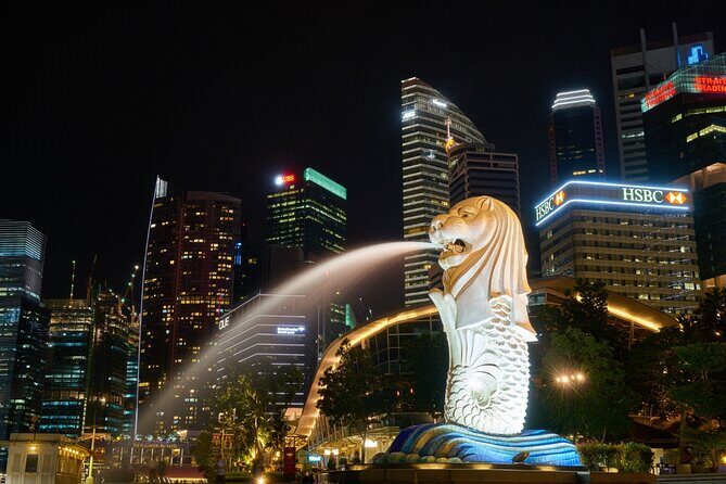 4 Hours - Singapore Tour in Private Car or Minibus with Driver - What Makes This Tour Stand Out?