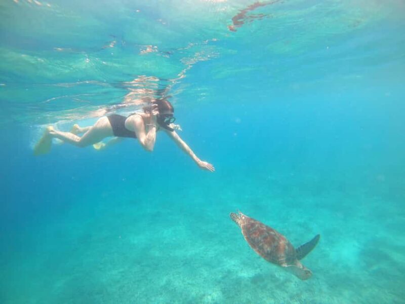 4 Hours Snorkeling 3 Gilis ( Trawangan,Meno, Gili air) - Meeting Point & Departure Details