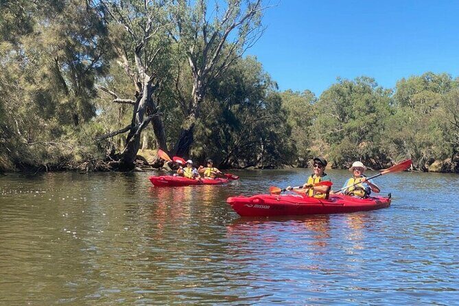 4 Hours Swan Valley Kayak, Wine & Dine Experience - Key Points