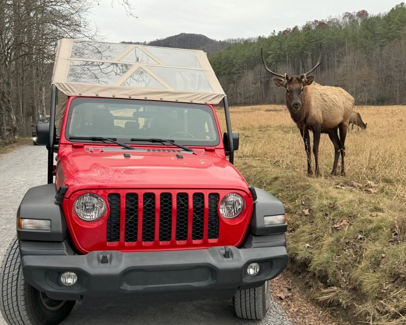 4 HR. Guided Safari Jeep Eco Waterfall Adventure - Transportation, Duration, and Practical Details