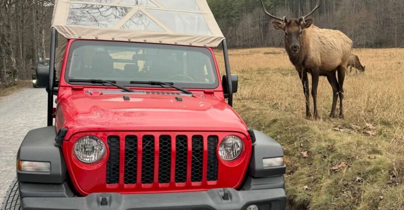 4 HR. Guided Safari Jeep Eco Waterfall Adventure - The Sum Up