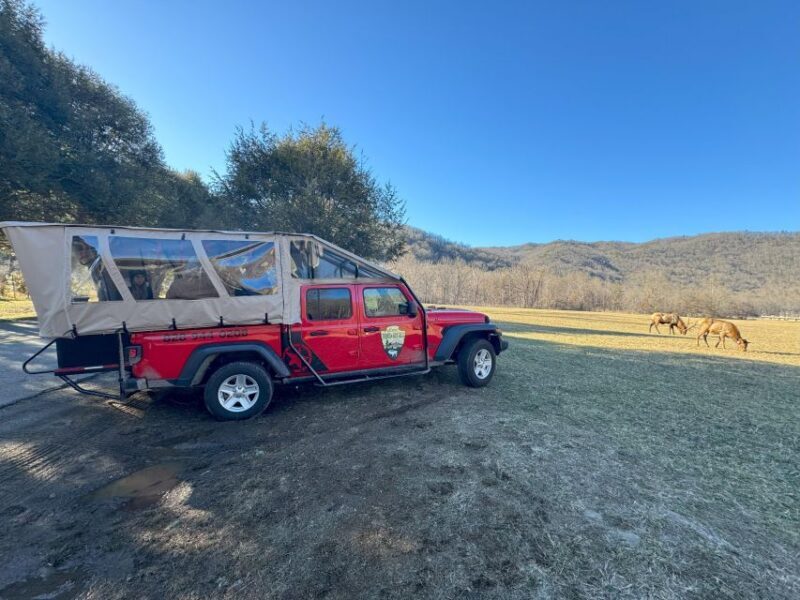 4 HR. Guided Safari Jeep Eco Waterfall Adventure - FAQ