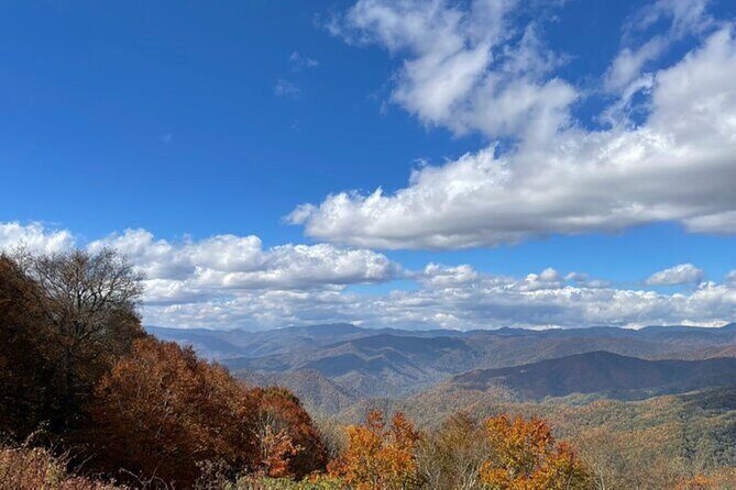 4 Hr Maggie Valley Slingshot Automatic Rental - Analyzing the Value