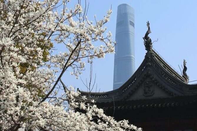 4-Hr Shanghai Layover Tour: Maglev, Wet Market, Food, Landmarks - Why Choose This Tour?