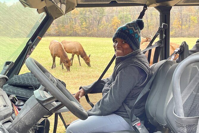 (4 HR) UTV ECO Elk Wilderness Adventure - Who Is This Tour Best For?