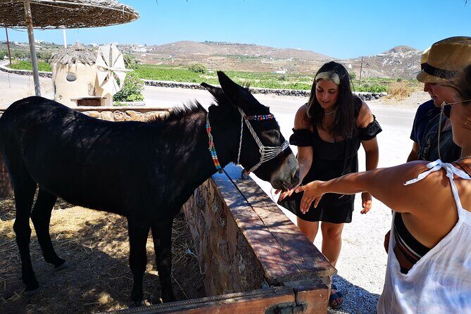 4 hrs PRIVATE island tour and photos, Oia and Blue domes - Final Thoughts