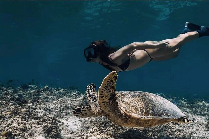 4-in-1 Nusa Lembongan Snorkel and Sunset Half Day Dinner Cruise - Authentic Perspectives from Travelers