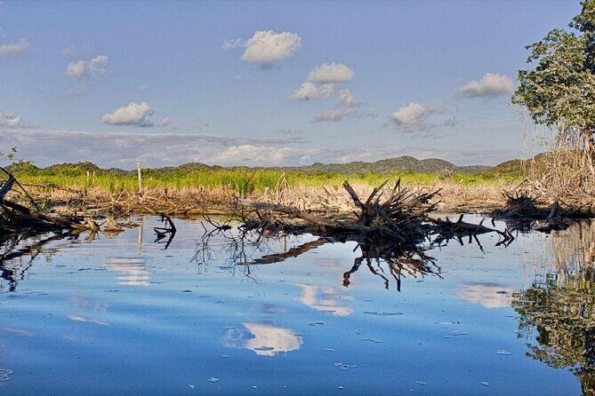 4 in 1 Tour - Mazunte, Cacao Factory, La Ventanilla National Park & Turtle Spawn - Key Points