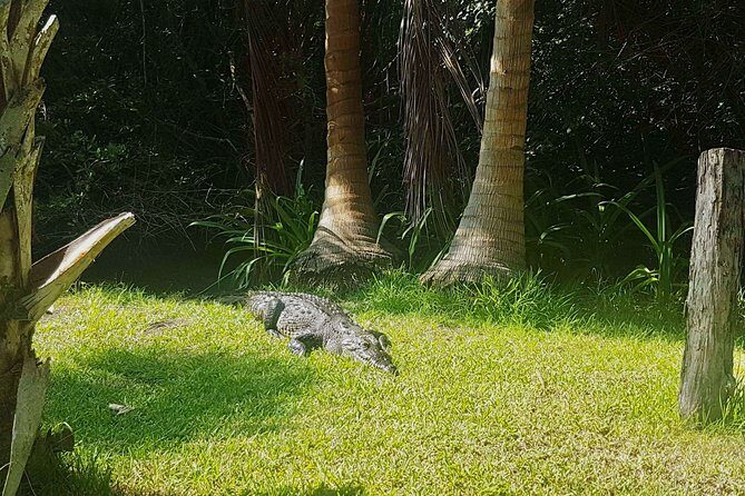 4 in 1 Tour - Mazunte, Cacao Factory, La Ventanilla National Park & Turtle Spawn - Final Thoughts: Who Will Love This Tour?