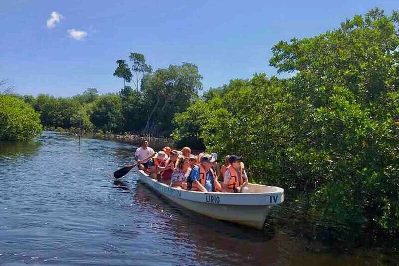4-in-1 Tour - Mazunte, Cacao Factory & Turtle Spawn/Release - Overview of the Tour Experience
