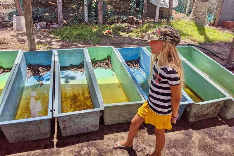 4-in-1 Tour - Mazunte, Cacao Factory & Turtle Spawn/Release - Who Should Consider This Tour?