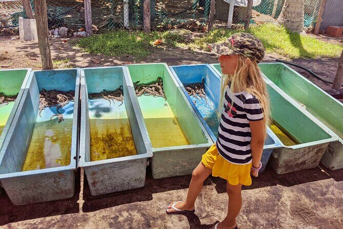 4-in-1 Tour - Mazunte,Cacao Factory, La Ventanilla & Turtle Spawn - FAQ