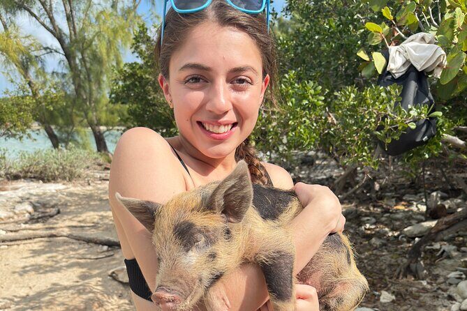4-Island Tour Swimming Pigs, turtles, snorkeling , rose island, - What Travelers Are Saying