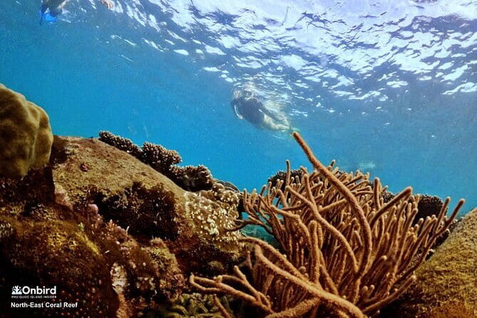 4 Islands & 2 Reefs - Discovery Snorkeling & Relaxing (MAX 12) - Authentic Marine Education