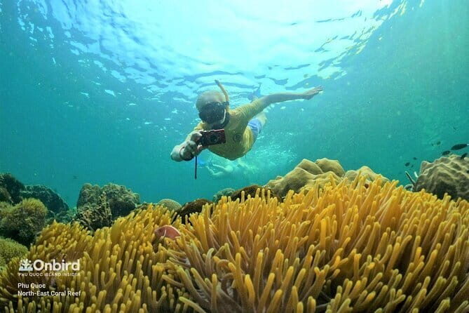 4 Islands & 2 Reefs - Discovery Snorkeling & Relaxing (MAX 12) - Final Thoughts: Is it worth your time and money?