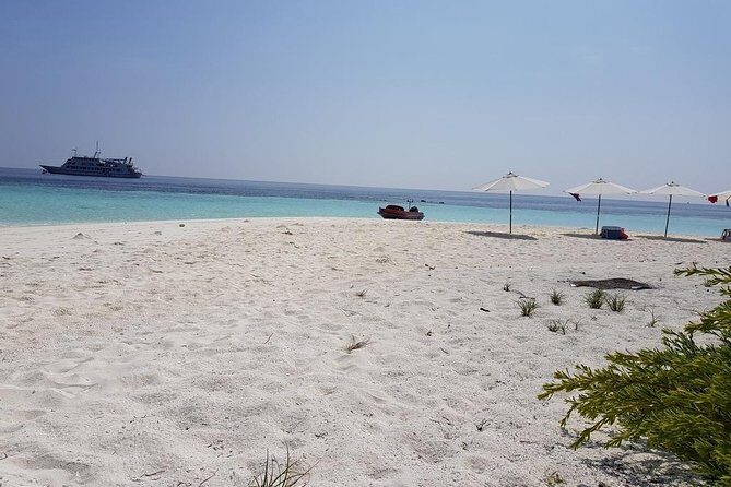 4-nights in Maldives For Solo Traveler - Who Will Love This Tour?