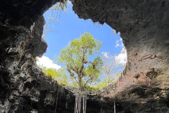 4 Santa Barbara Cenotes with Lunch from Merida Private - The Sum Up