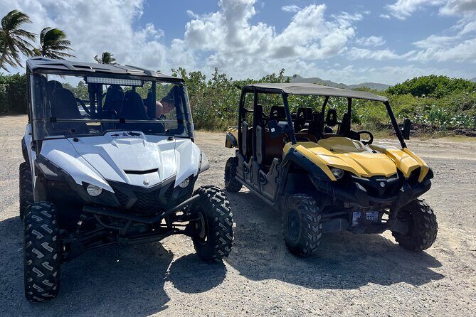 4 Seater Buggy Rental in Sint Maarten - Authenticity and Value