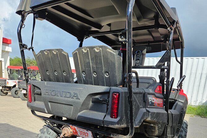 4-seater UTV Island 4hr Tour in Aruba, morning or afternoon - The Experience: What It Feels Like and What You’ll See