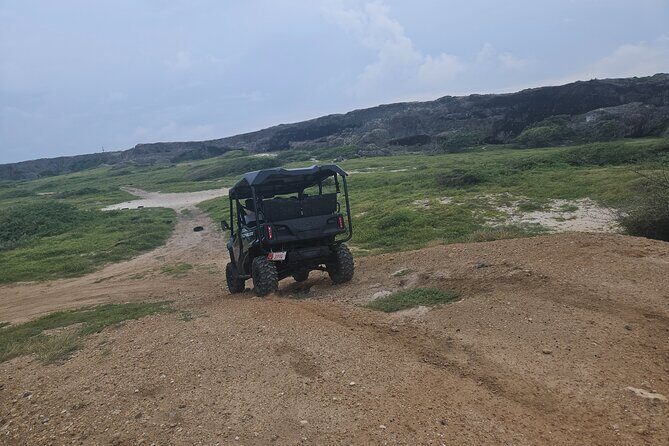 4-seater UTV Island 4hr Tour in Aruba, morning or afternoon - Frequently Asked Questions