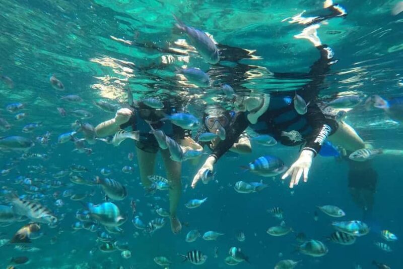 4 Spot Nusa Penida Snorkeling Manta Rays Reefs & 2 Hours Spa - The Marine Highlights: Four Snorkeling Spots