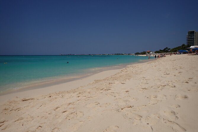 4-Stop Stingray, Snorkel, Star Fish & 7 Mile Beach (Family Owned) - A Detailed Look at the Tour Experience