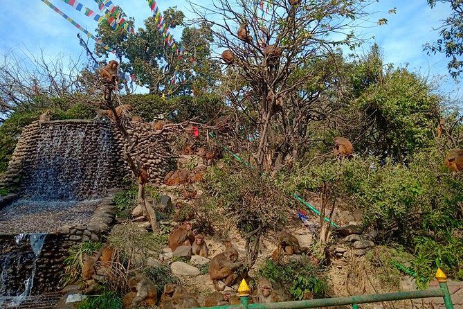 4 UNESCO City Sightseeing in Kathmandu - FAQ