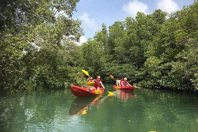 4-Waters Eco-Adventure Trip from Phuket Including Lunch - Who Should Consider This Tour?