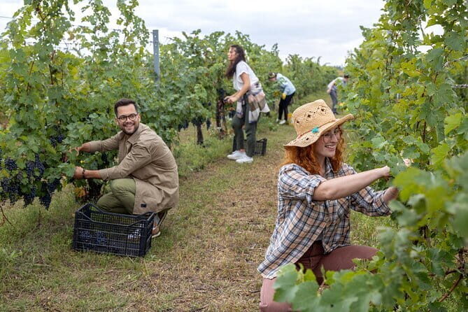 4 Wines & 2 Olive Oils Tasting in Chianti Winery with Tour - The Bottom Line