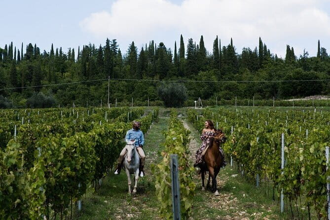 4 Wines & 2 Olive Oils Tasting in Chianti Winery with Tour - Final Thoughts