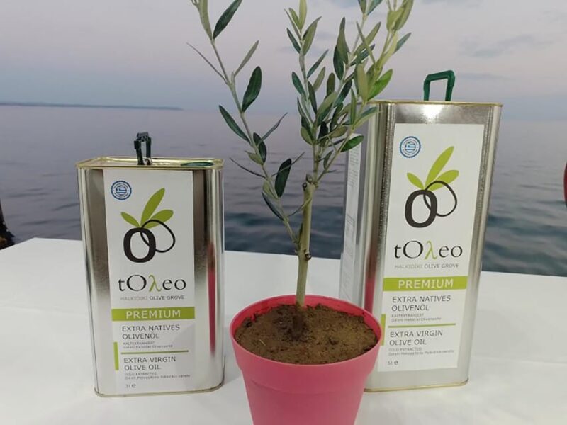 45 min. Olive Oil Workshop in Kriopigi - Halkidiki. - The Sum Up
