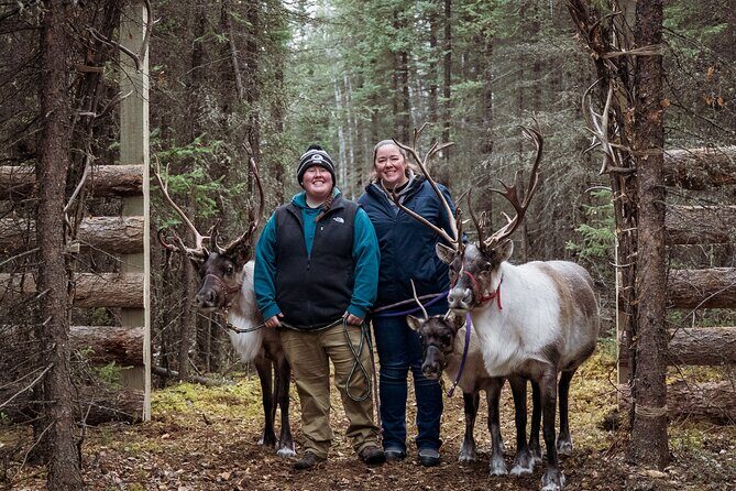 45 Minute Private Reindeer Tour - Value and Practical Considerations