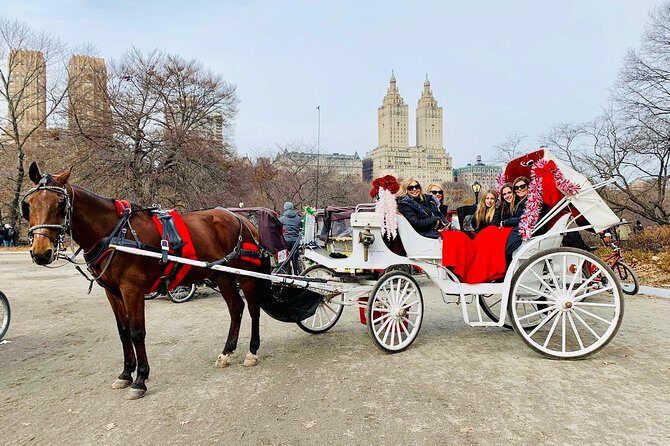 45 Minute VIP Central Park Carriage Ride - Authentic Experiences and Review Insights