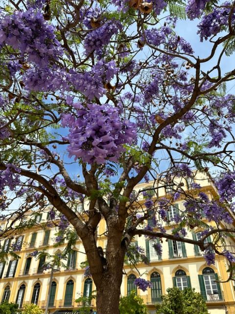 45 minutes flamenco dance class for family in Málaga - Key Points