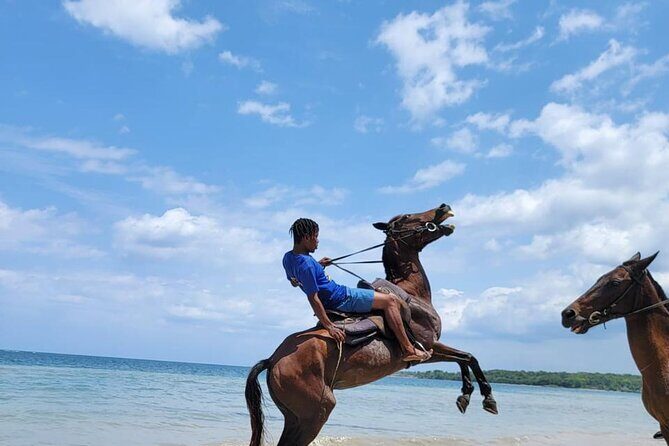 45 Minutes Horse Back Riding in Montego Bay - Who Will Love This Tour?