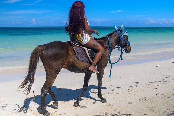 45 Minutes horseback riding at Sand and Saddle - What to Expect from the Horseback Ride