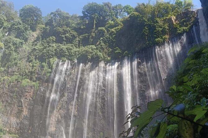 4D3N Bromo, Tumpak Sewu & Ijen Tour - FAQ