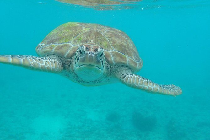 4H private 40' Yacht All-Inclusive in Tulum & Playa del Carmen - The Sum Up